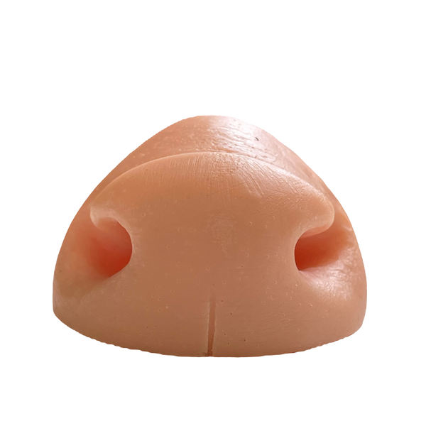 Hog Deer Nose – payertaxidermy
